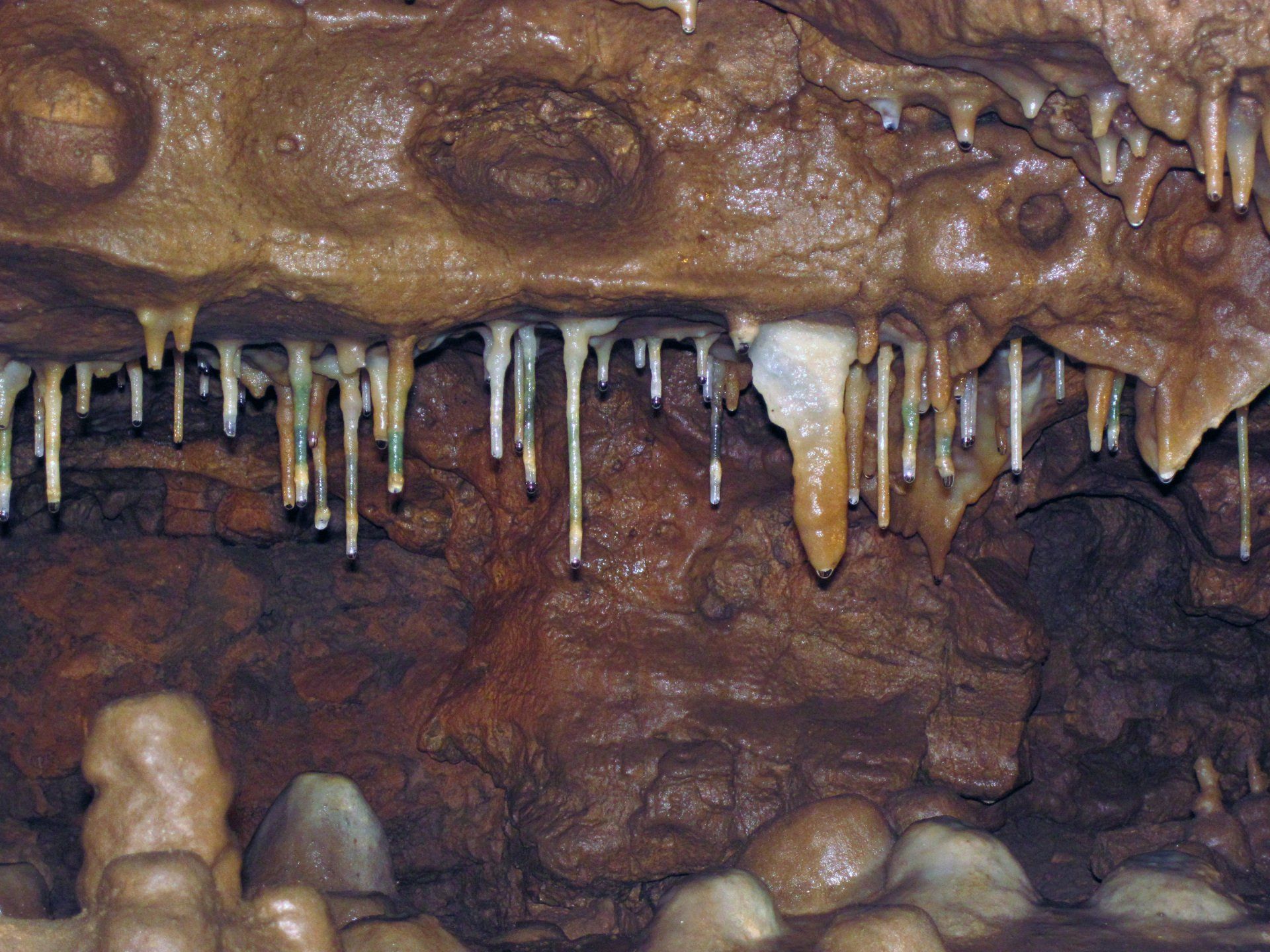 Visiting Mammoth Cave National Park: A Complete Guide
