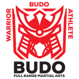 Unlock Your Potential with Budo Full Range Martial Arts