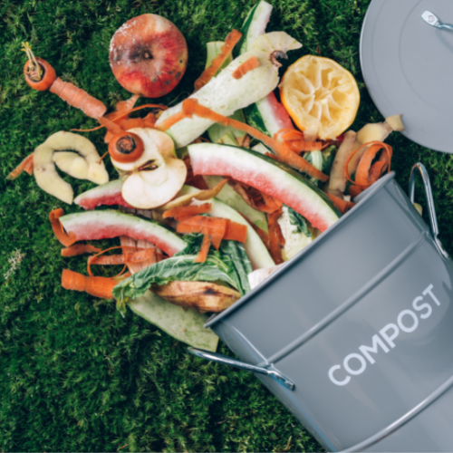 Happy International Composting Week!