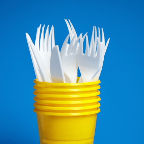 The Great Plastic Rescue