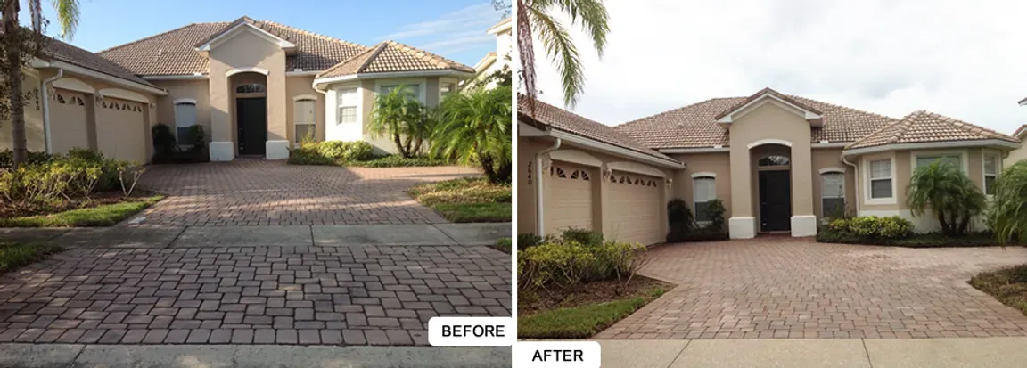 Impact of Algae and Mold on Your Roof | HydroTech Solutions