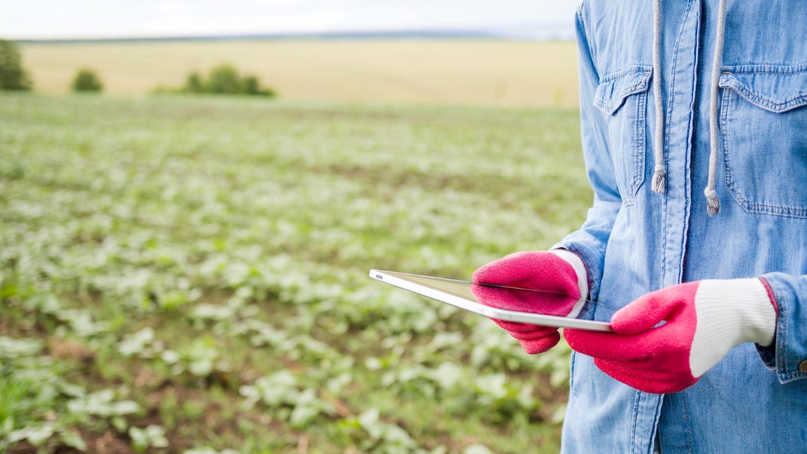 12 Farm Health and Safety Tips You Can Implement Today
