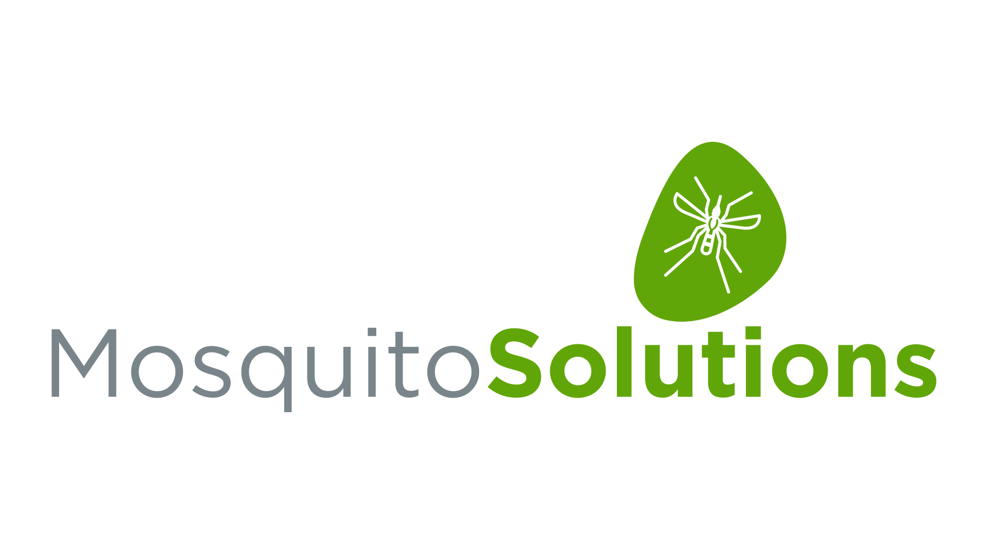Mosquito Solutions | Home