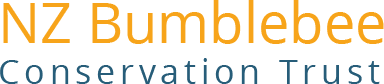 NZ Bumblebee Conservation Trust | Beekeeping | New Zealand