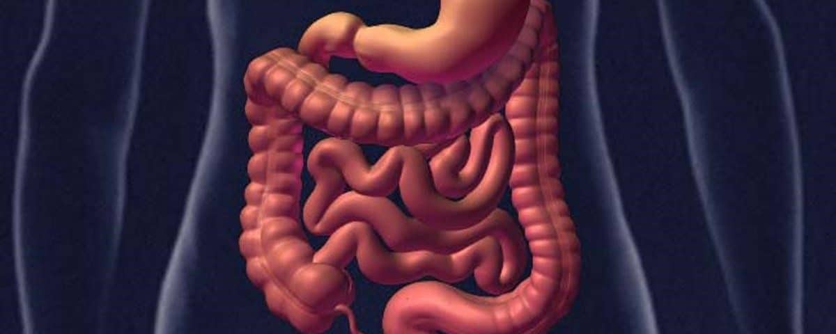 5 possíveis causas do sangue nas fezes