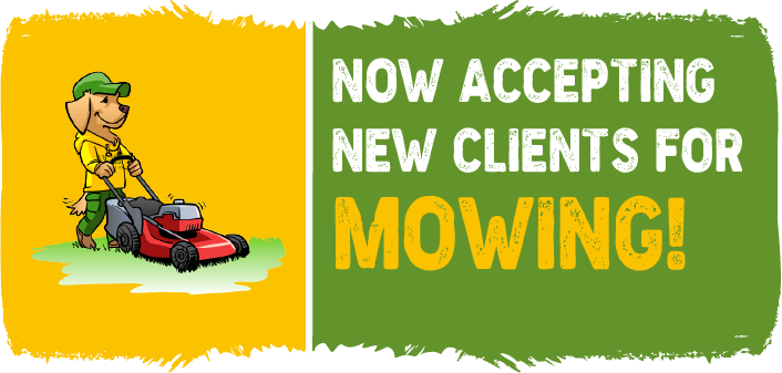 Lawn Mowing Services Free, Editable, Printable Lawn Care Flyer