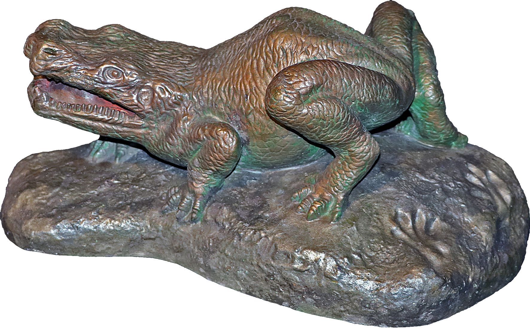 Pfalzmuseum für Naturkunde Bad Dürkheim online