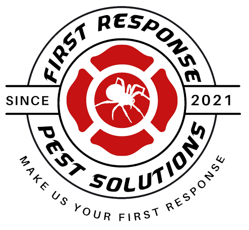 Spider Exterminator | First Response Pest Solutions