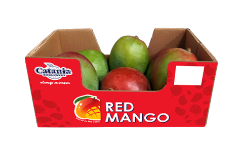 Red Mango