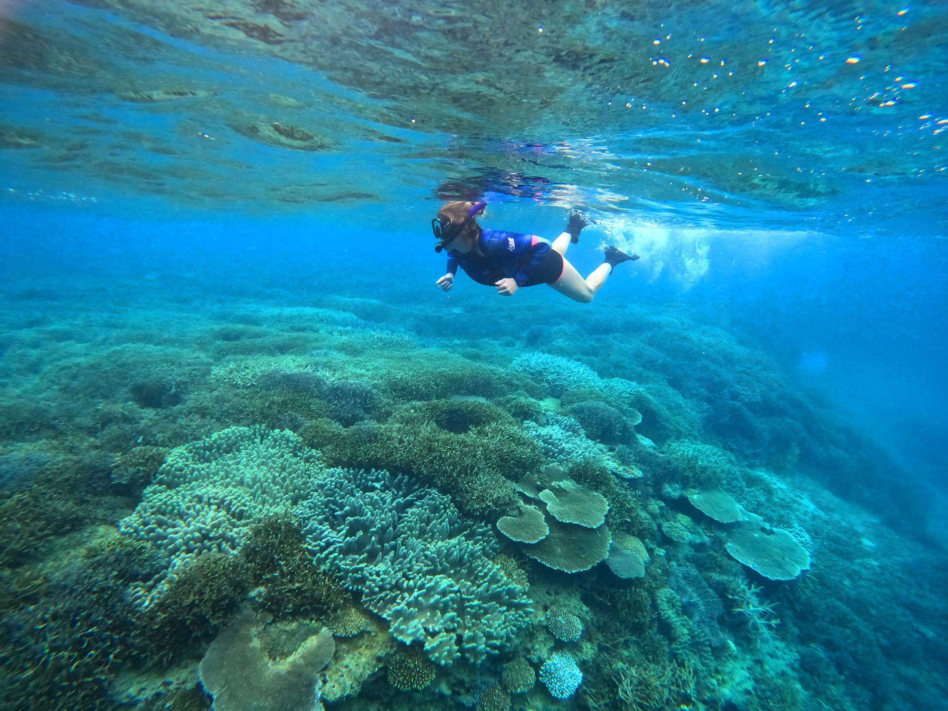 Explore.Okinawa - Ocean and Forest experiences