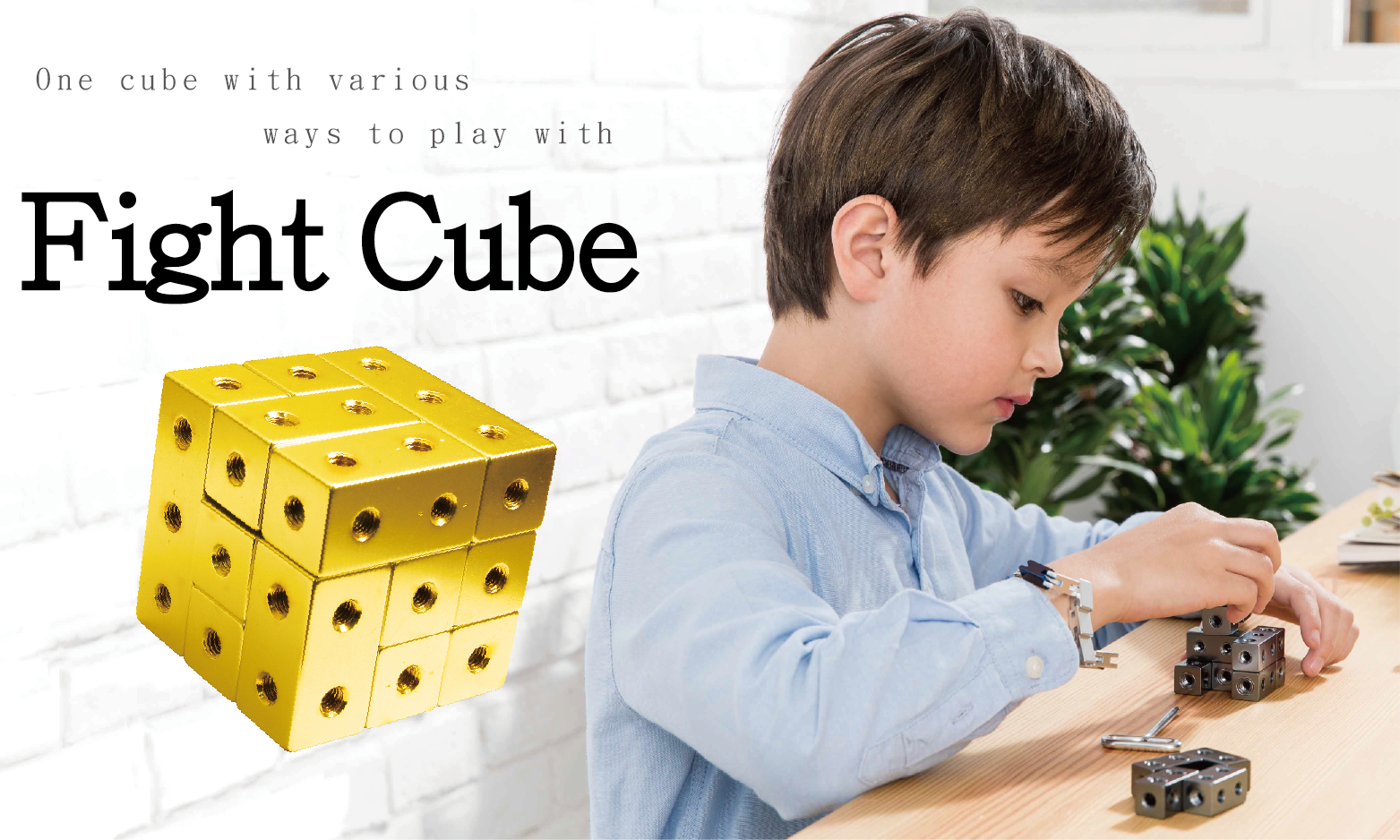 Fight Cube