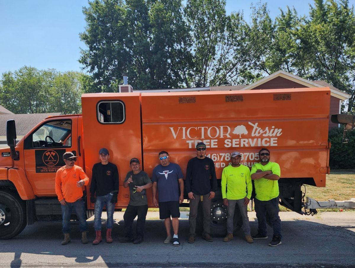 Victor Tosin Tree Service | Tree Service in Kansas City, MO