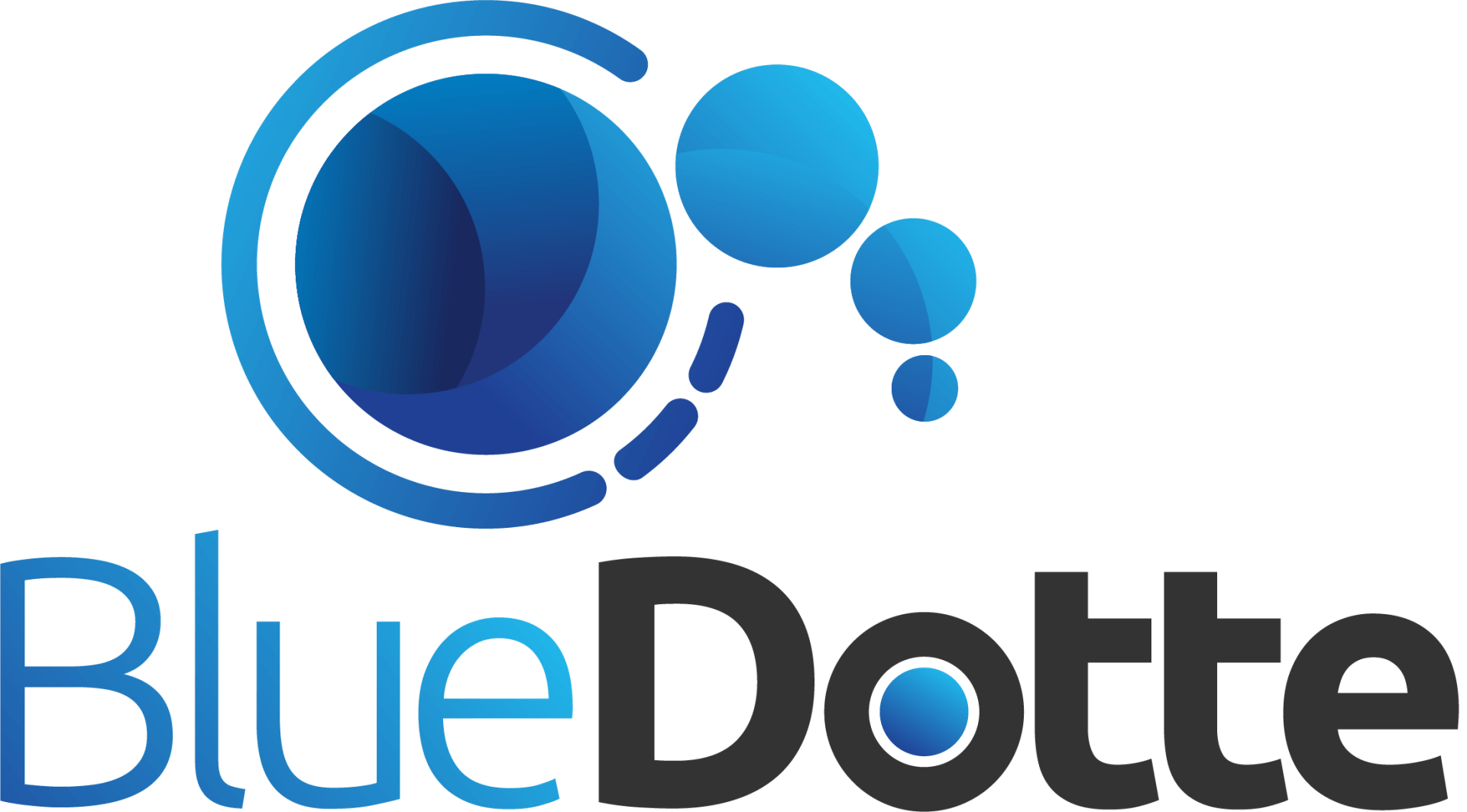 Professional Logo Design Services from $150 | BlueDotte