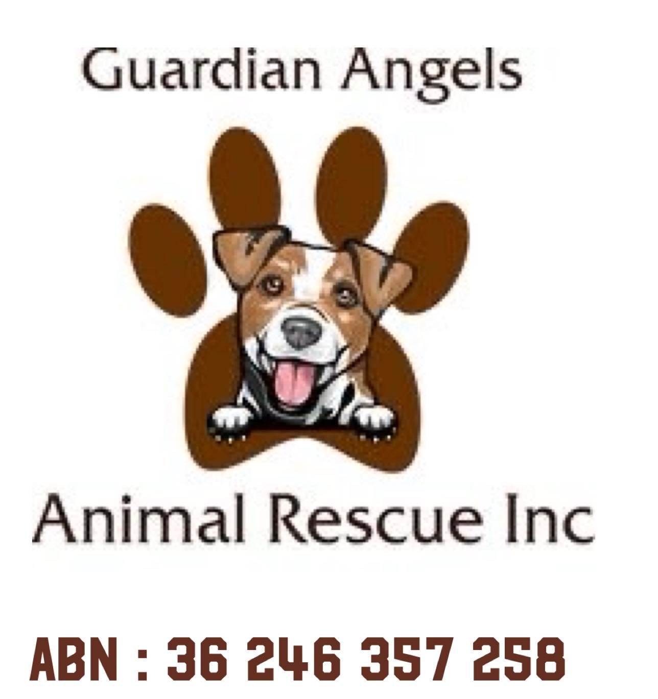 Compassionate Animal Rescue Services Across Australia
