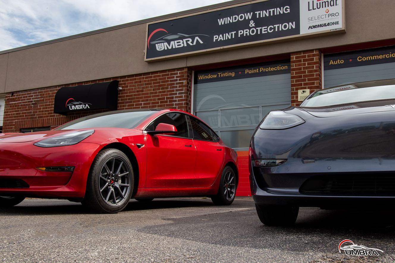 Umbra Window Tinting | Window Tint, Paint Protection Film (PPF ...