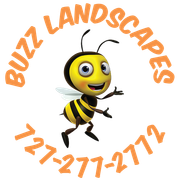 Landscaping Services | New Port Richey & Tarpon Springs, FL | Buzz ...