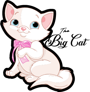 65 TYLER DAVIS RACING