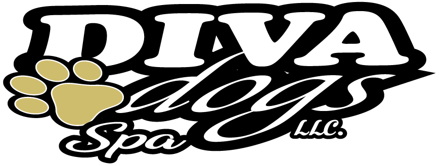 65 TYLER DAVIS RACING