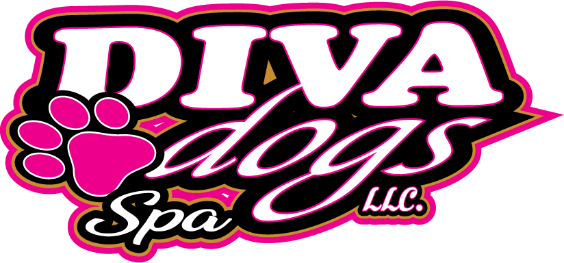 65 TYLER DAVIS RACING