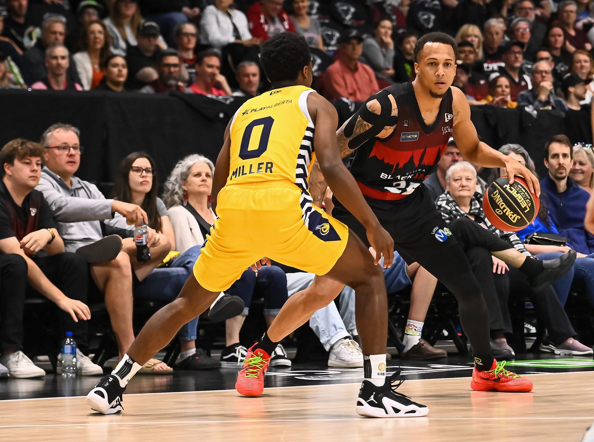 Ottawa BlackJacks - Canadian Professional Basketball Team