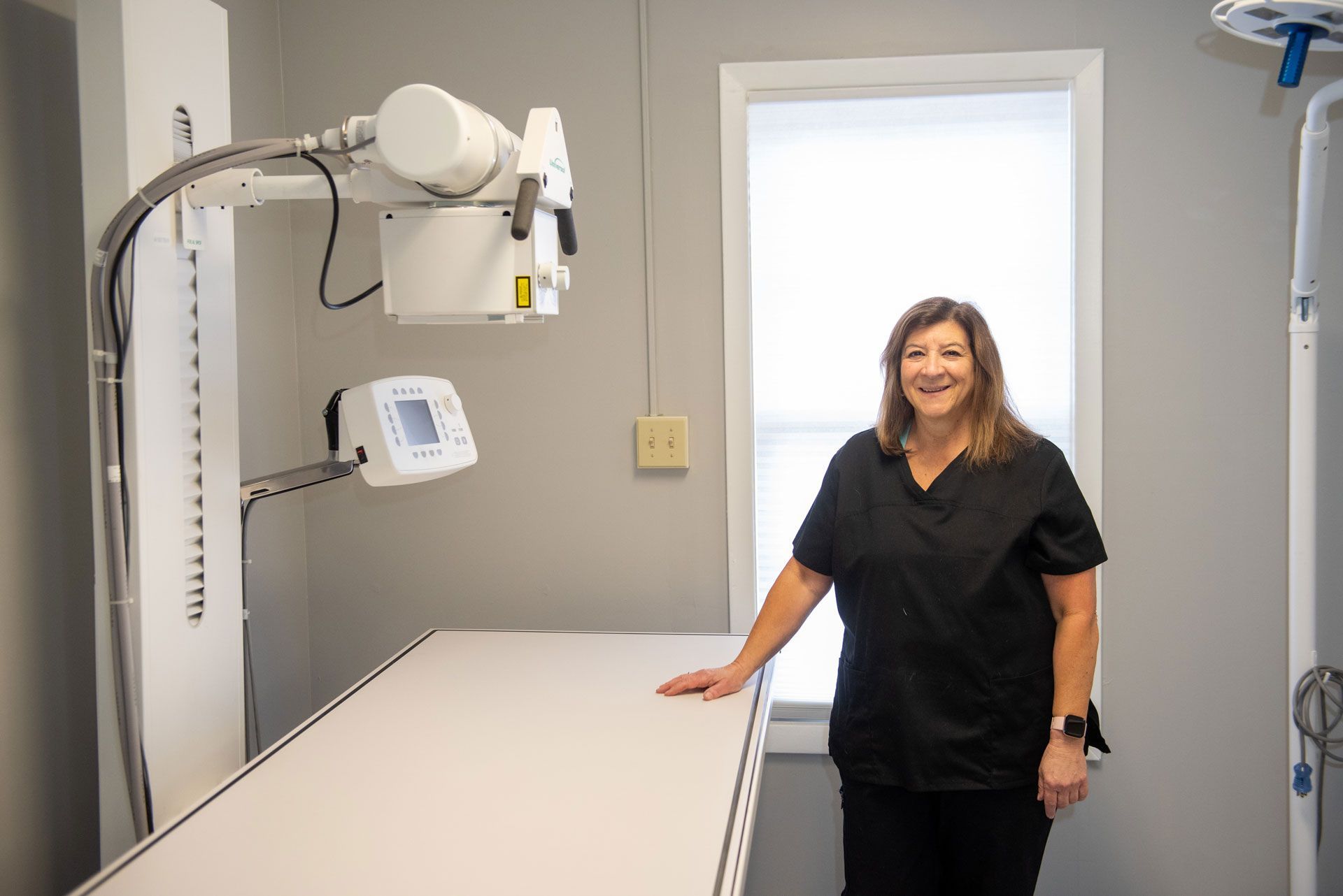 Animal Care | Branford, CT | Lakes Veterinary Services