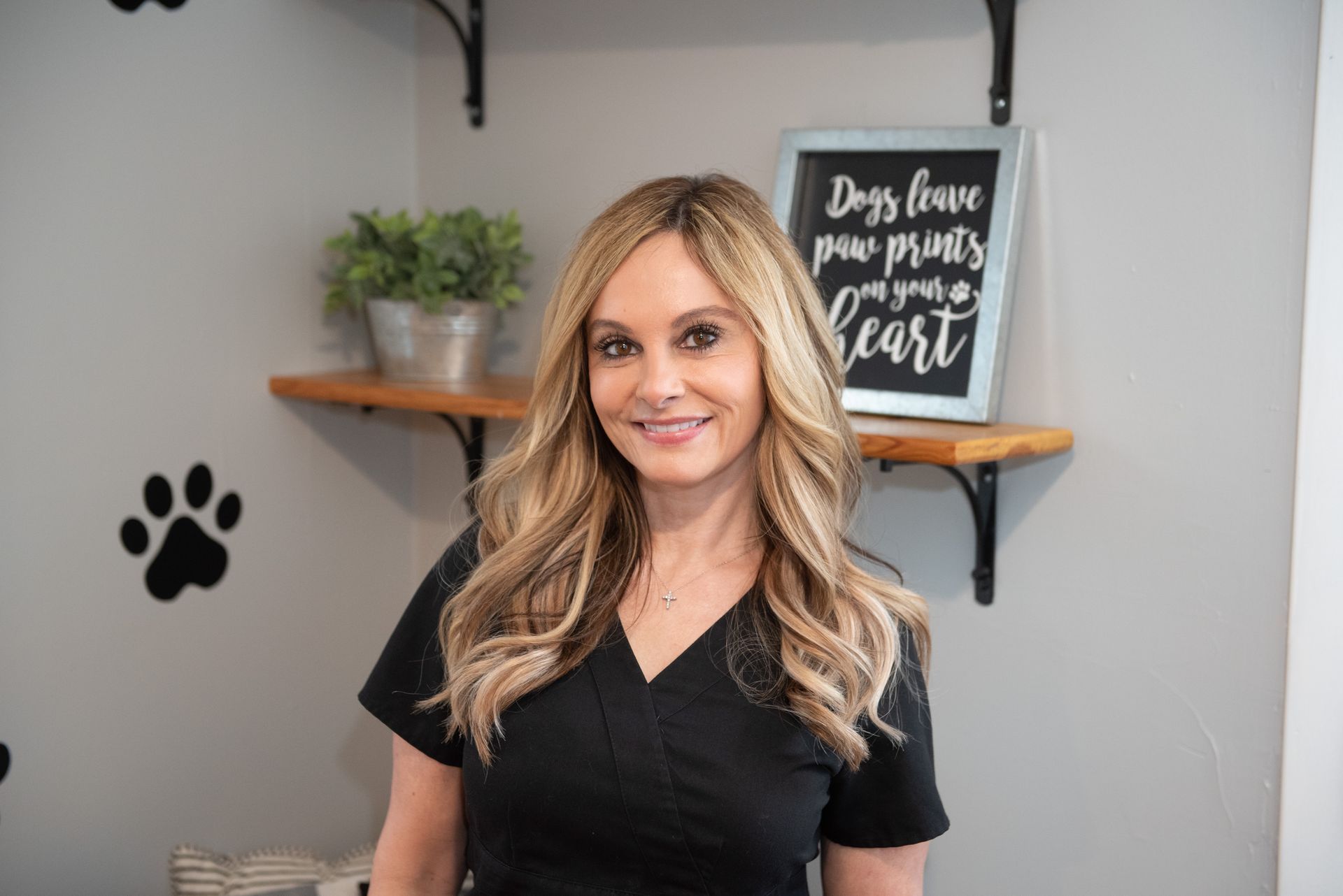 Animal Care | Branford, CT | Lakes Veterinary Services