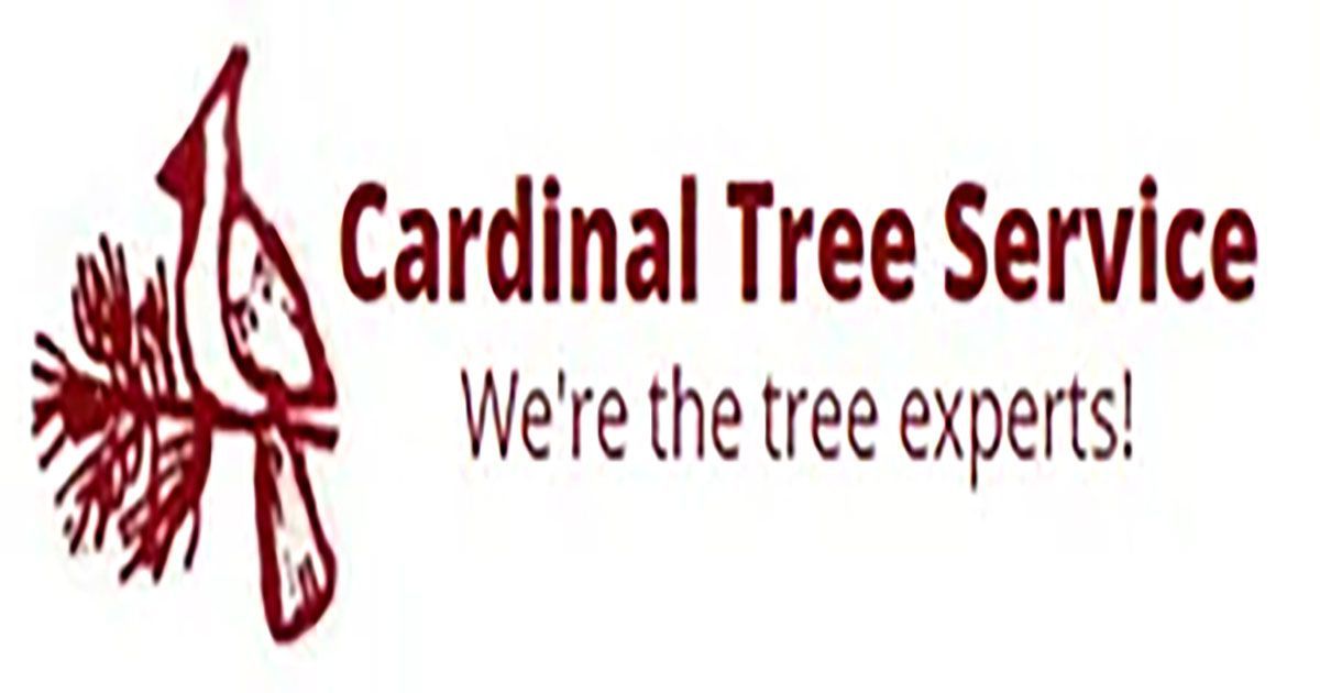 Tree Services - Mukwonago, WI - Cardinal Tree Service