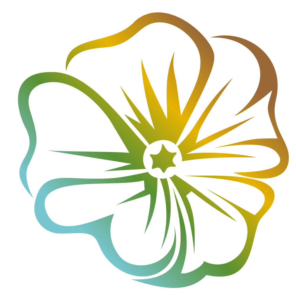 Our Menus | Hollyhocks Coffee House – Brunch, Lunch & Drinks in Guisborough