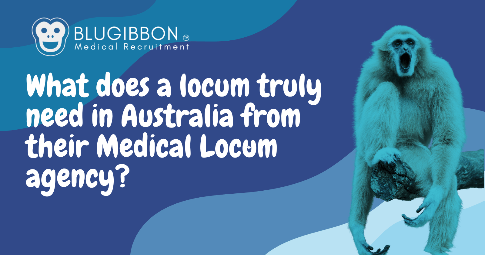 What does a locum truly need in Australia from their Medical Locum agency?