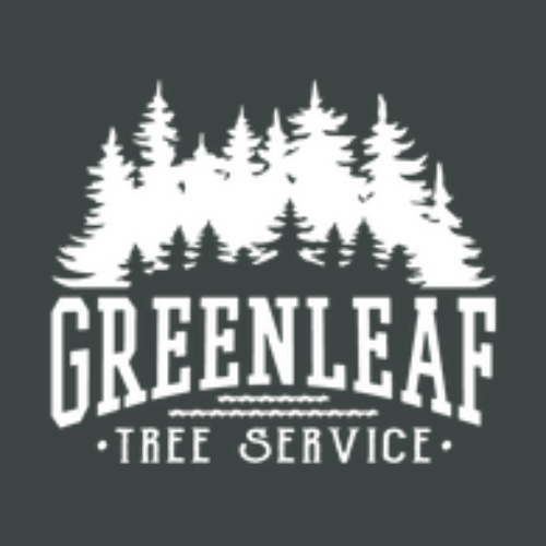 Charlotte's Tree Service Expert | Green Leaf Tree Service