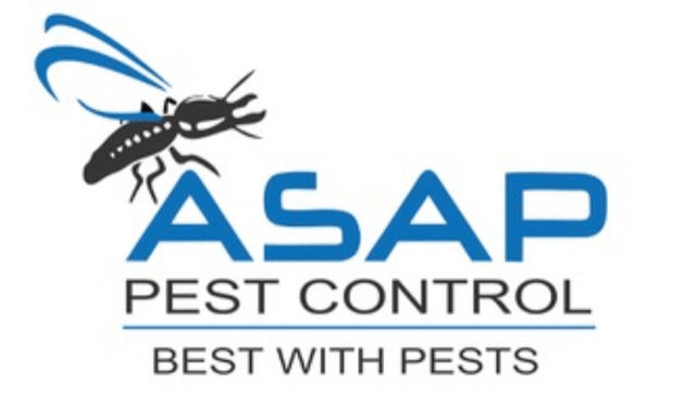 Welcome to Masters Boxing Australia