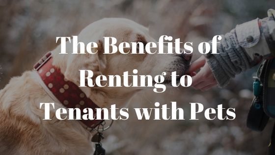 The Benefits of Renting to Tenants with Pets