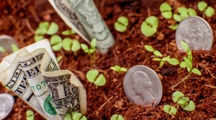 Seed Money: como o capital semente acelera startups?