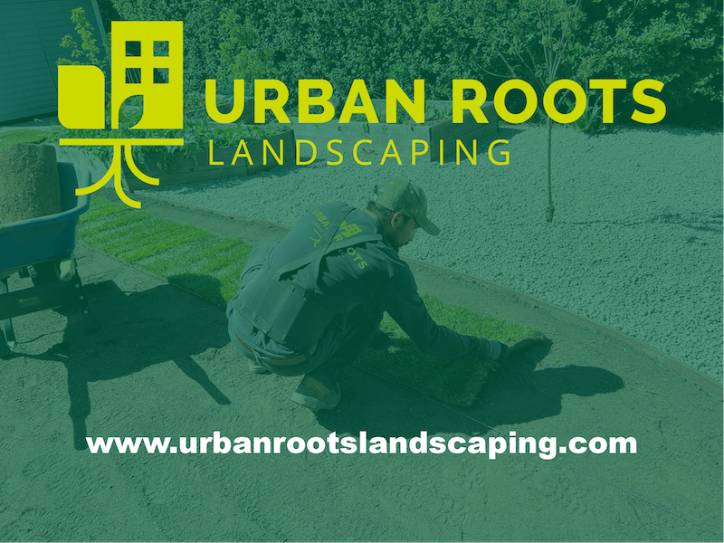 Lawn Care & Mowing Tacoma WA, Grass Trimming, Yard Edging