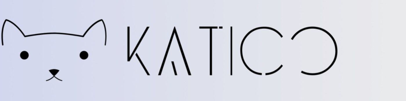 Katico: IT Support Systems for Business Consolidators