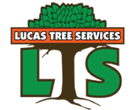 Local Tree Services in Wonga Park | Lucas Tree Services