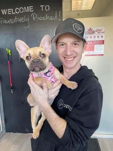 Calgary's Best Dog Daycare | Pawsitively Pooched