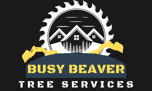 Busy Beaver Tree Services - Top Rated Tree Services - Cattaraugus ...