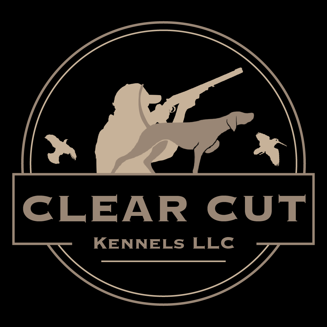 Maine Grouse & Upland Bird Hunting | Clear Cut Kennels