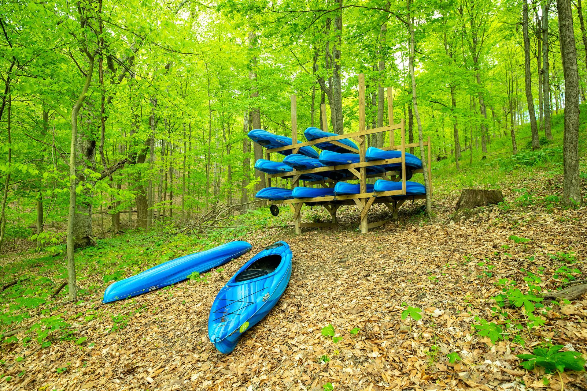 Guide to Lake Logan State Park