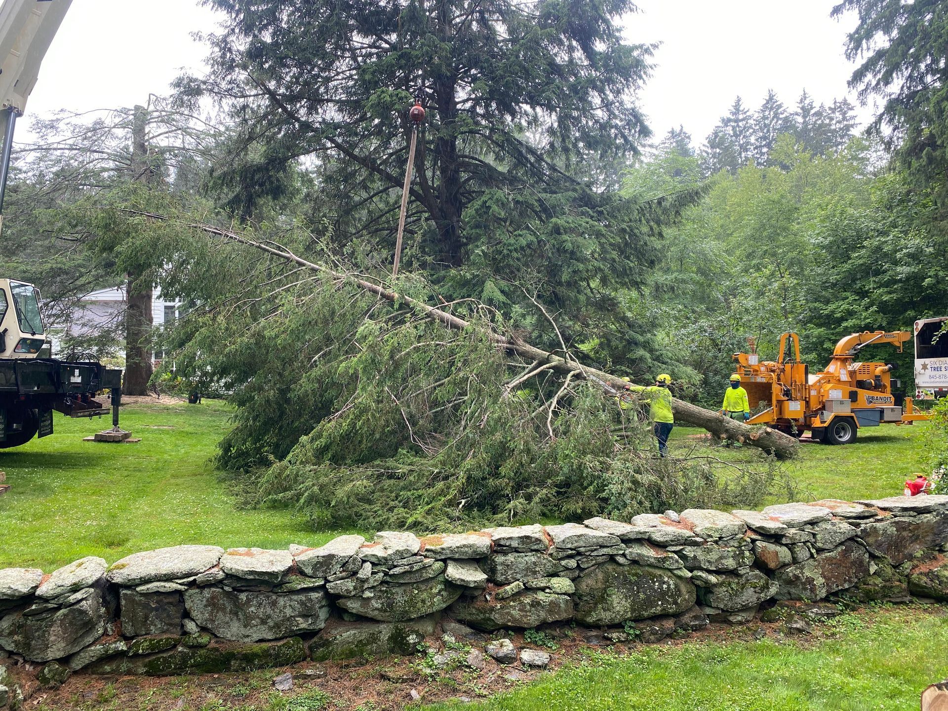 Is My Neighbor Responsible for Downed Trees?