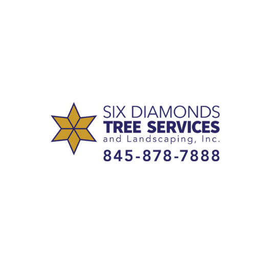 Tree Services in Pawling, NY