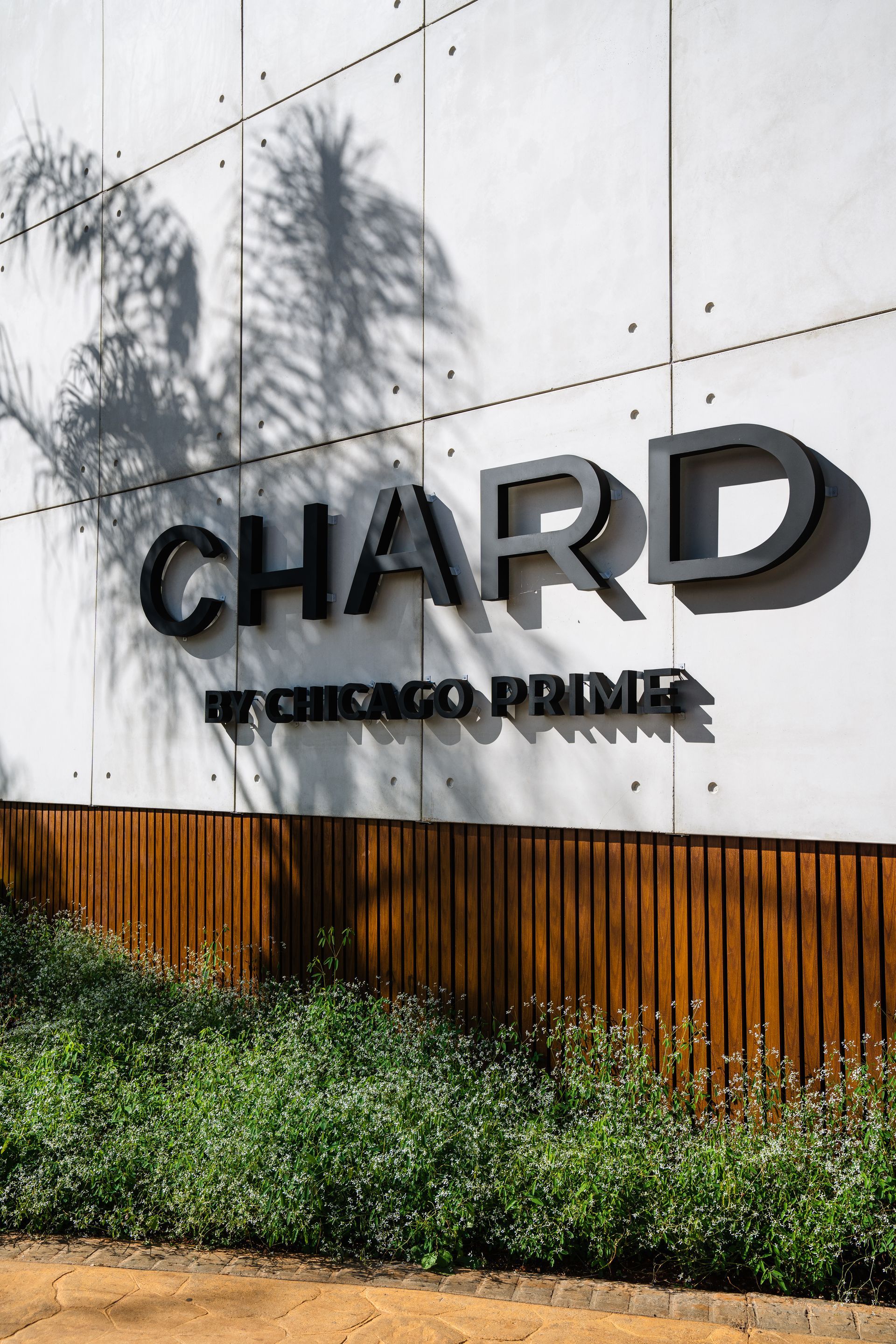 CHARD By Chicago Prime