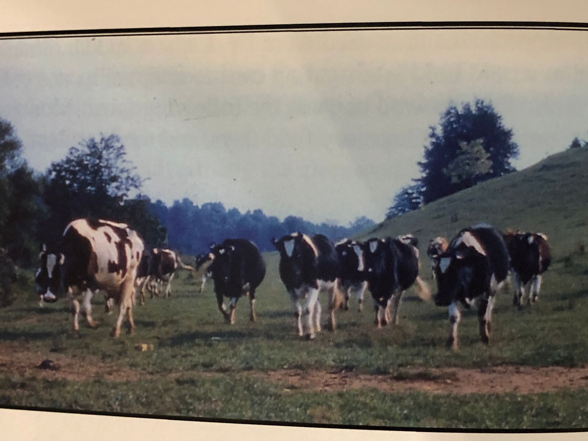 MOO News issue VI - Winter 2026