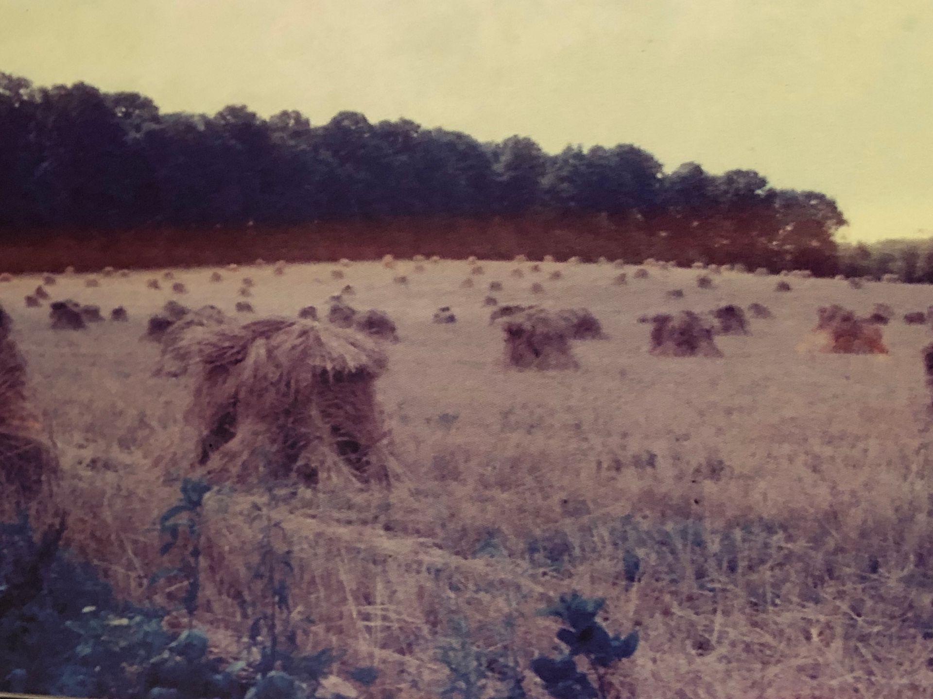 MOO News issue VI - Winter 2026