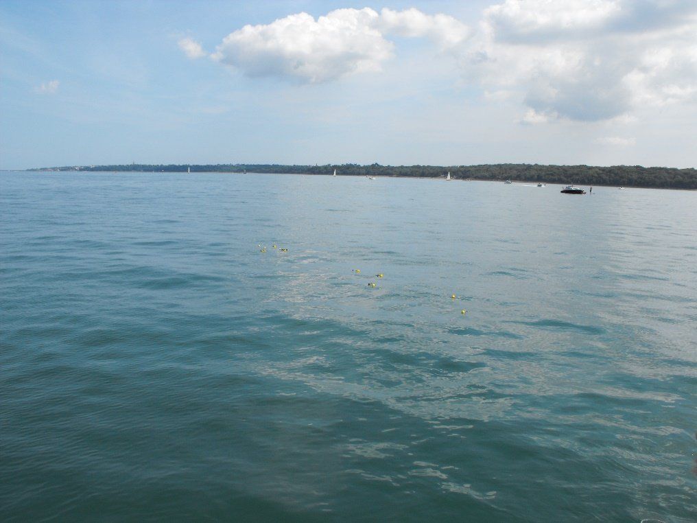 Ashes at Sea, Scattering ashes at sea, how to scatter ashes at sea