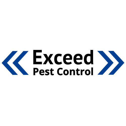 Find Us Online | Exceed Pest Control