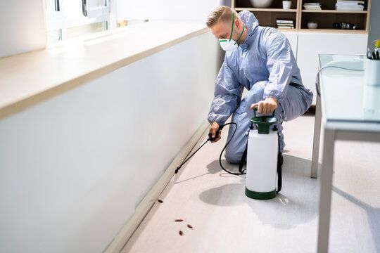 Best Pest Control Clearwater | Exceed Pest Control