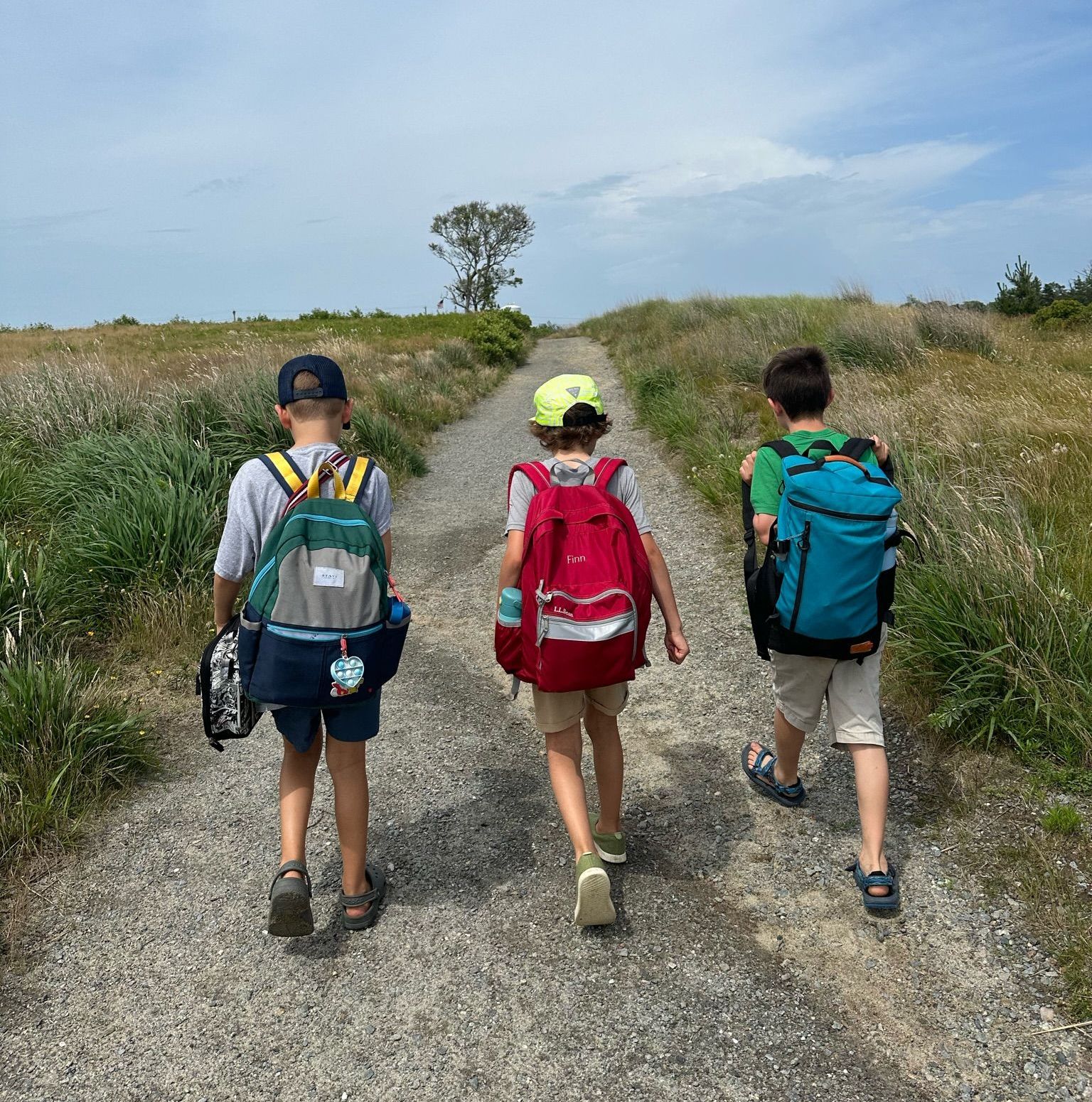 Maria Mitchell Association | Nantucket’s Science Center