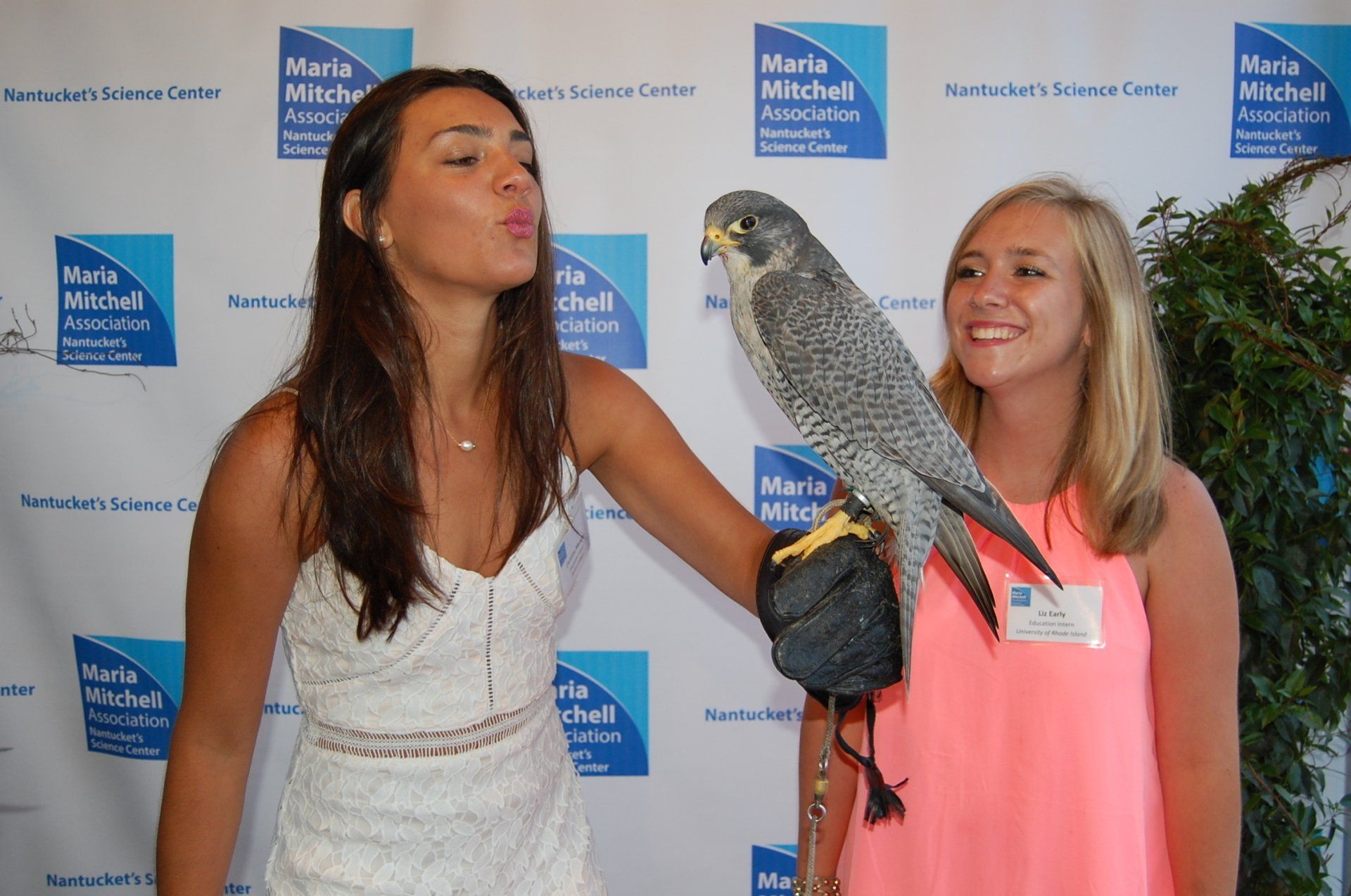 Sponsorship | Maria Mitchell Association